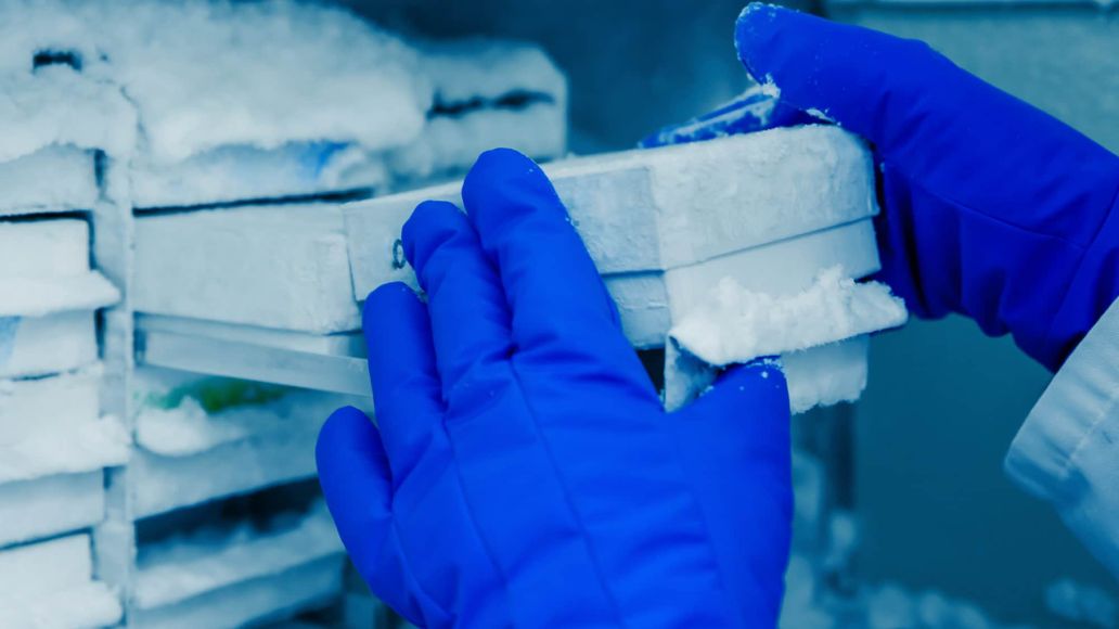 News & Articles - TemperPack News and Packaging Industry Information